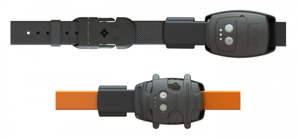 CareWhere Dog tracker Nano - AI Product Development